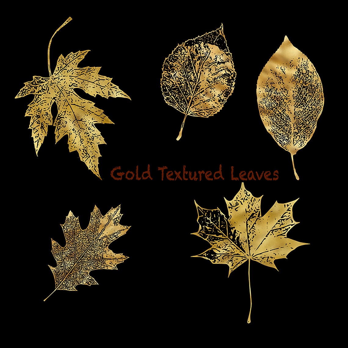 Fall Colorful Leaves Clipart, Autumn Botanical Illustraiton ...