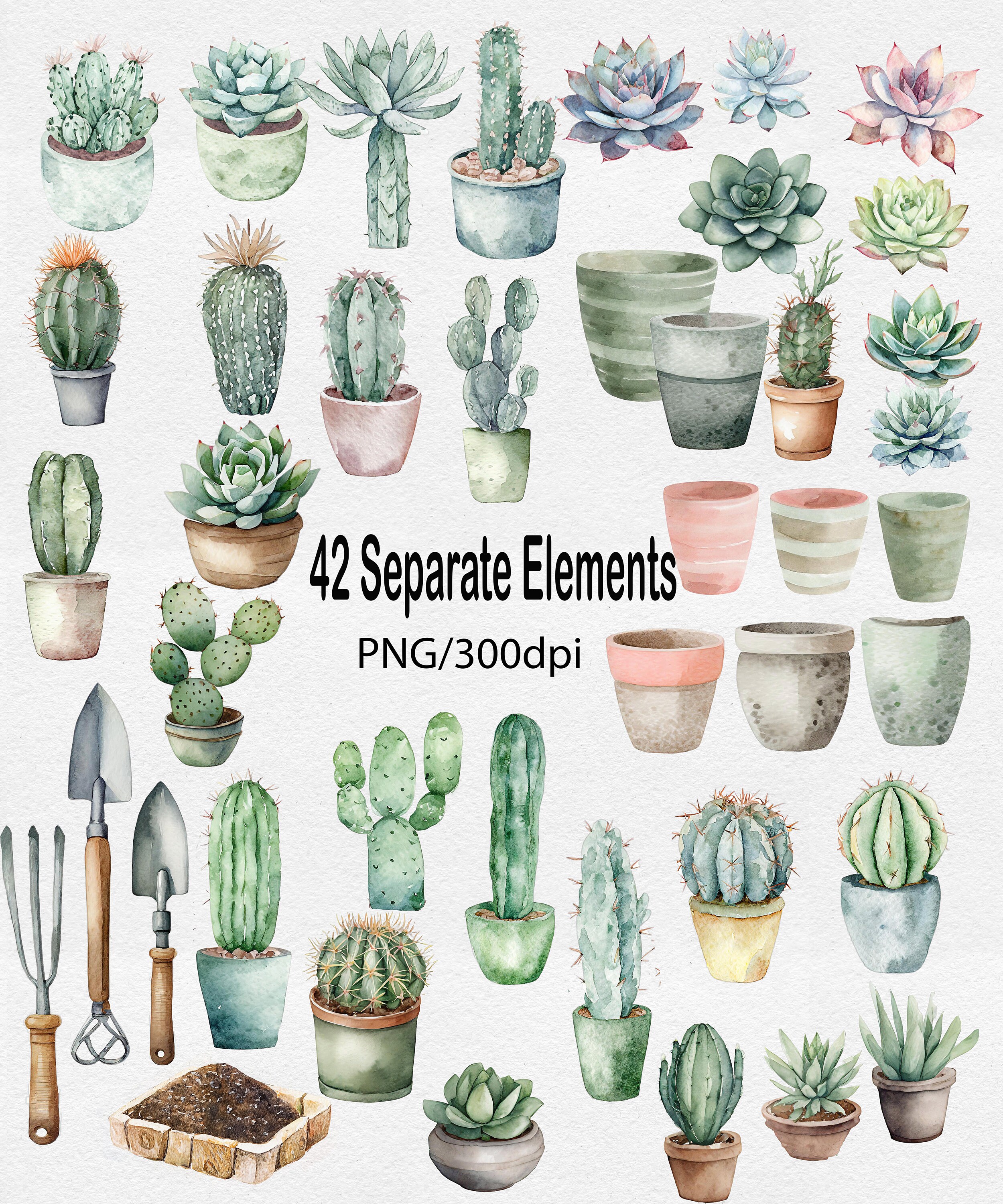 Watercolor Cactus Succulent Clipart, Cactus Garden Clipart, Succulent ...