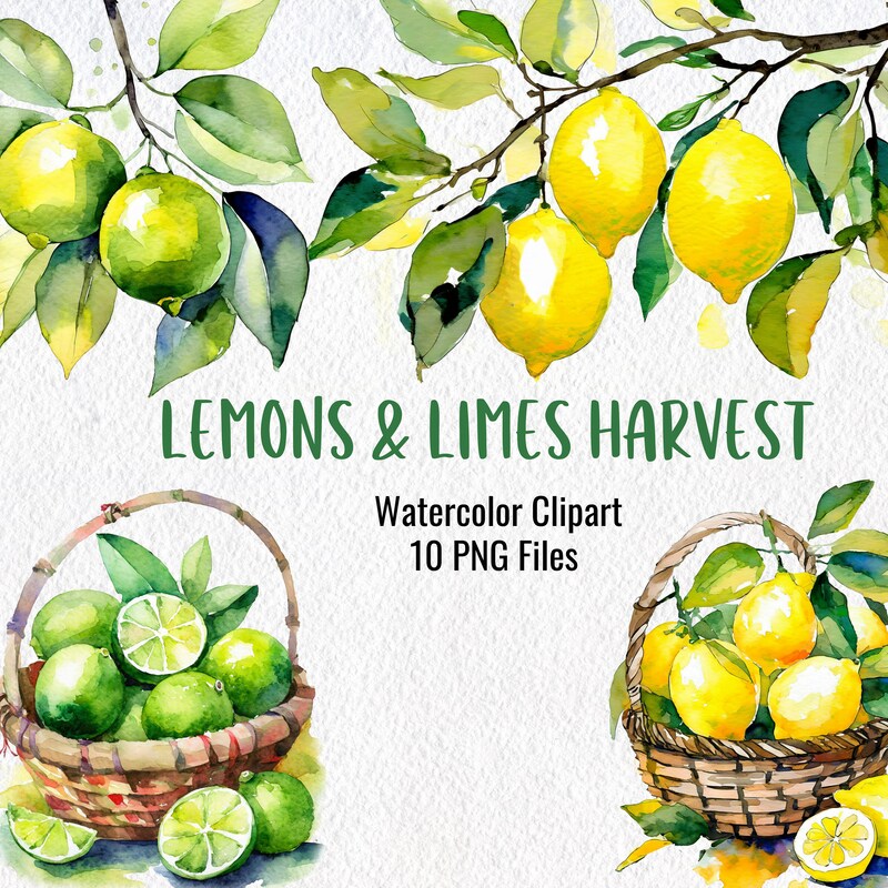 Lime Watercolor - Etsy