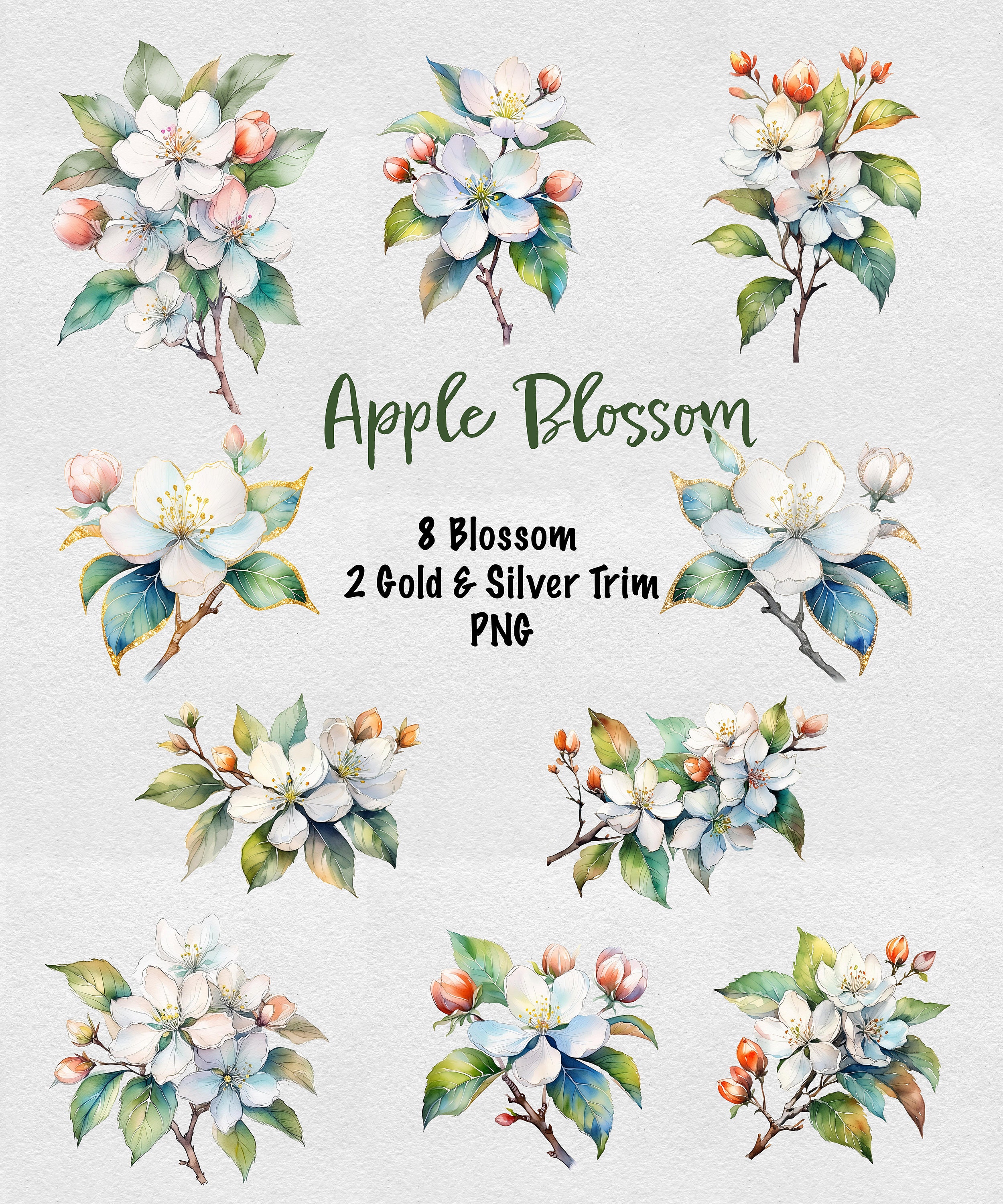 Apple Blossom Clipart, Watercolor Clipart, Spring Garden Clipart ...