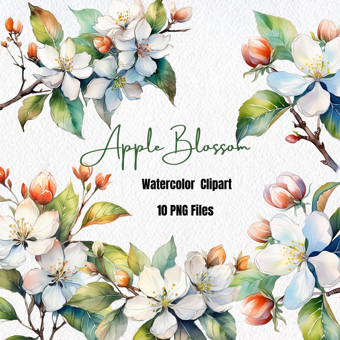 Apple Blossom Clipart, Watercolor Clipart, Spring Garden Clipart ...