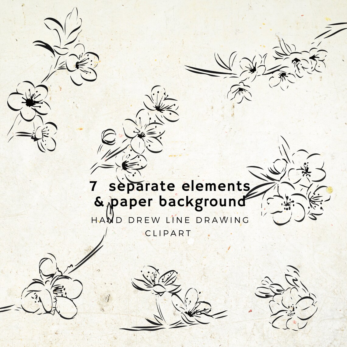 Apple Blossom Floral Clipart. Hand Drawing Line Art. Sketch Graphic ...