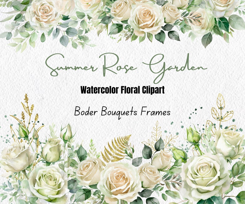 White Cream Rose Watercolor Clipart, White Floral Clipart, White Ivory ...