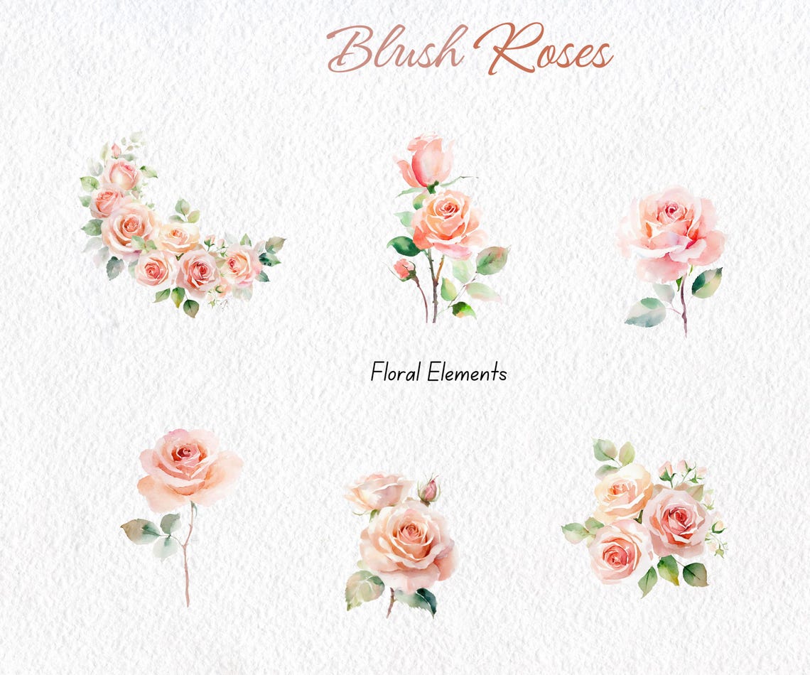 Watercolor Blush Rose Clipart, Watercolor Floral Clipart, Pink Rose ...