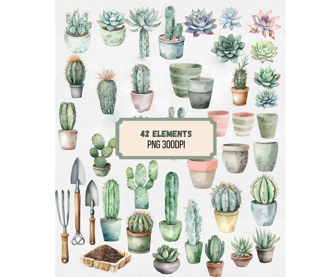 Watercolor Cactus Succulent Clipart, Cactus Garden Clipart, Succulent ...