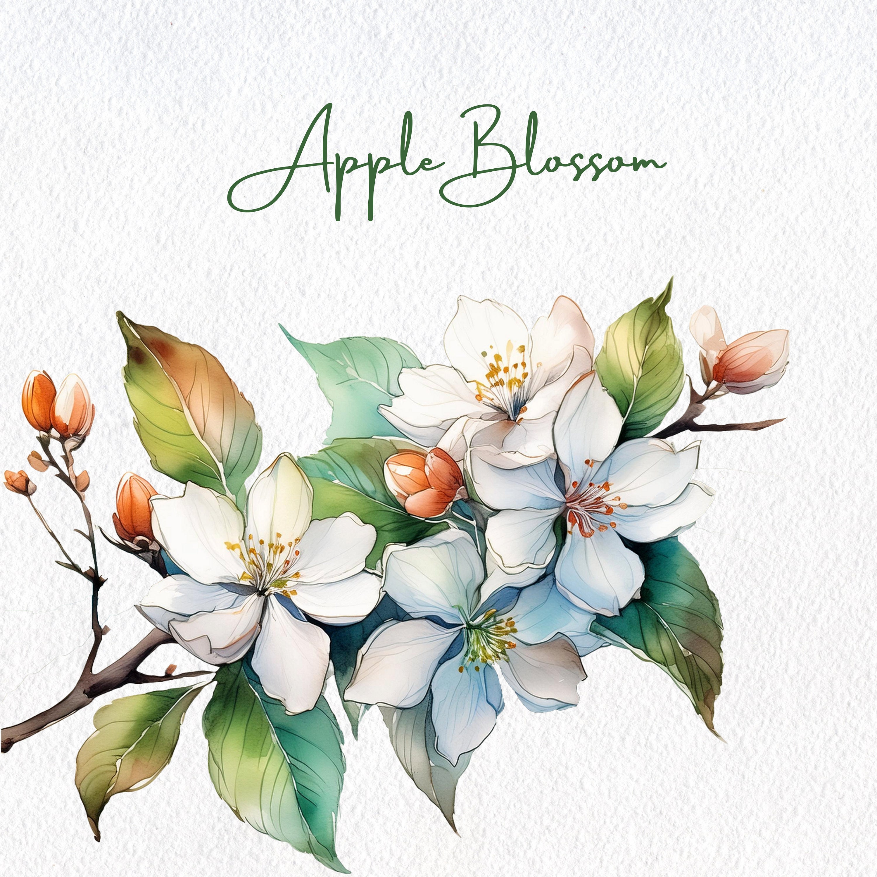 Apple Blossom Clipart, Watercolor Clipart, Spring Garden Clipart ...