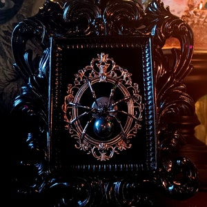 Spider With Ornate Frame, Macabre, Faux Taxidermy, Victorian, Black ...