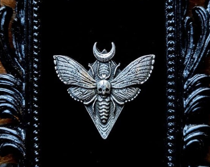 Death Head Moth in Baroque Frame Macabre Faux Taxidermy Faux Insects ...
