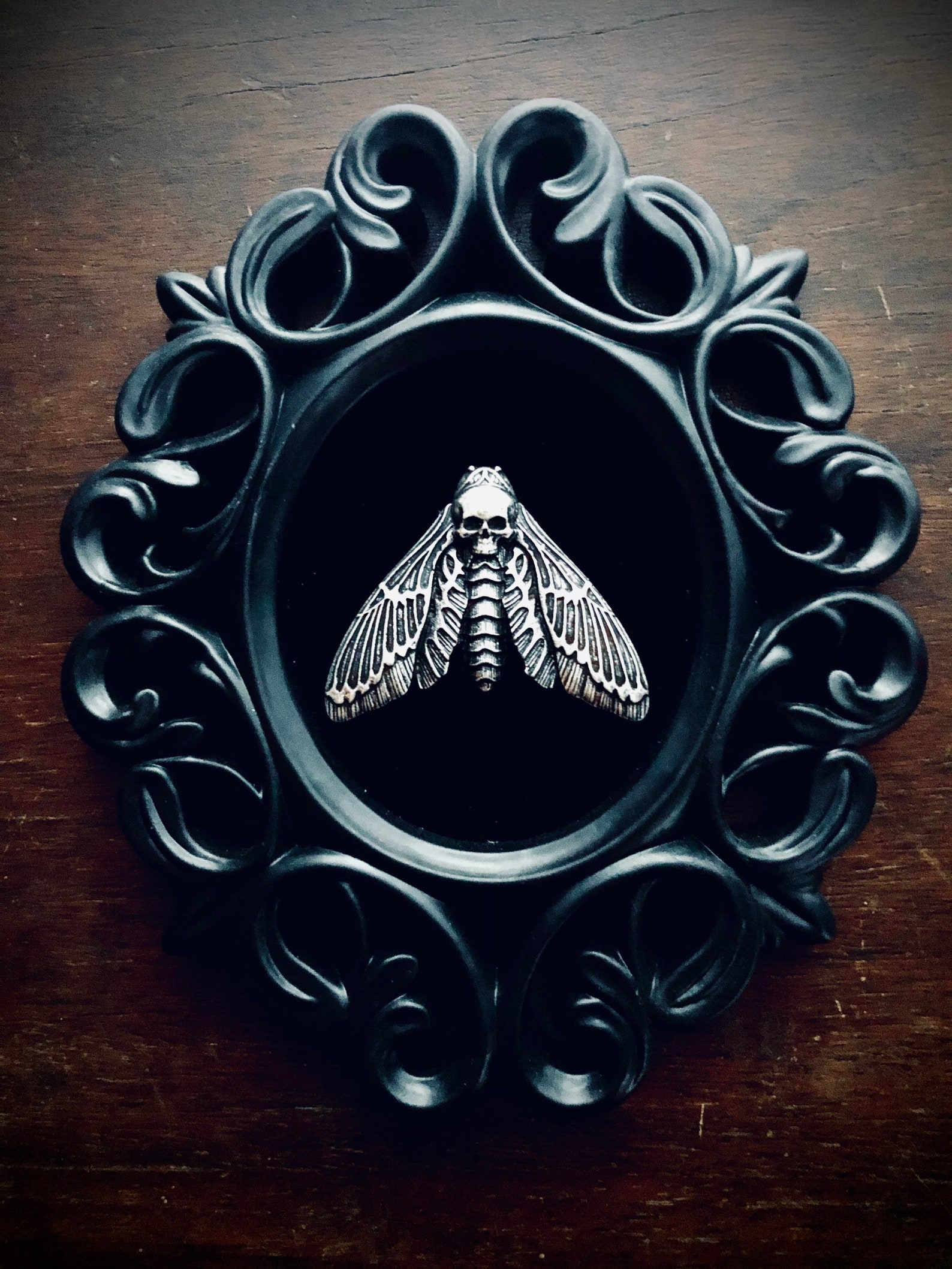 Death Head Moth With Ornate Frame Macabre Faux Taxidermy | Etsy
