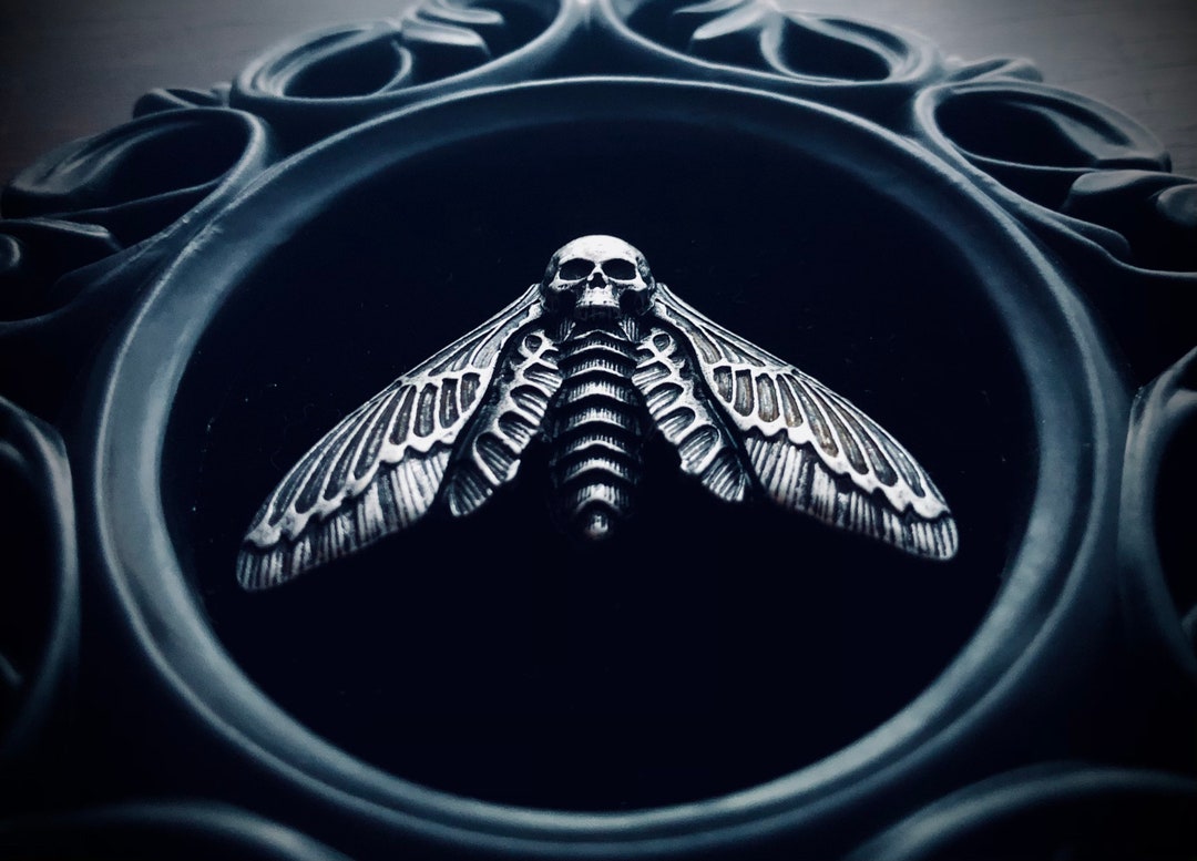 Death Head Moth With Ornate Frame | Macabre | Faux Taxidermy | Faux ...
