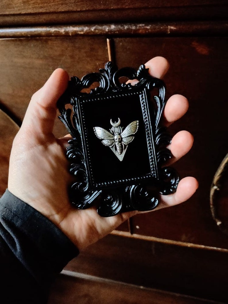 Death Head Moth in Baroque Frame Macabre Faux Taxidermy | Etsy