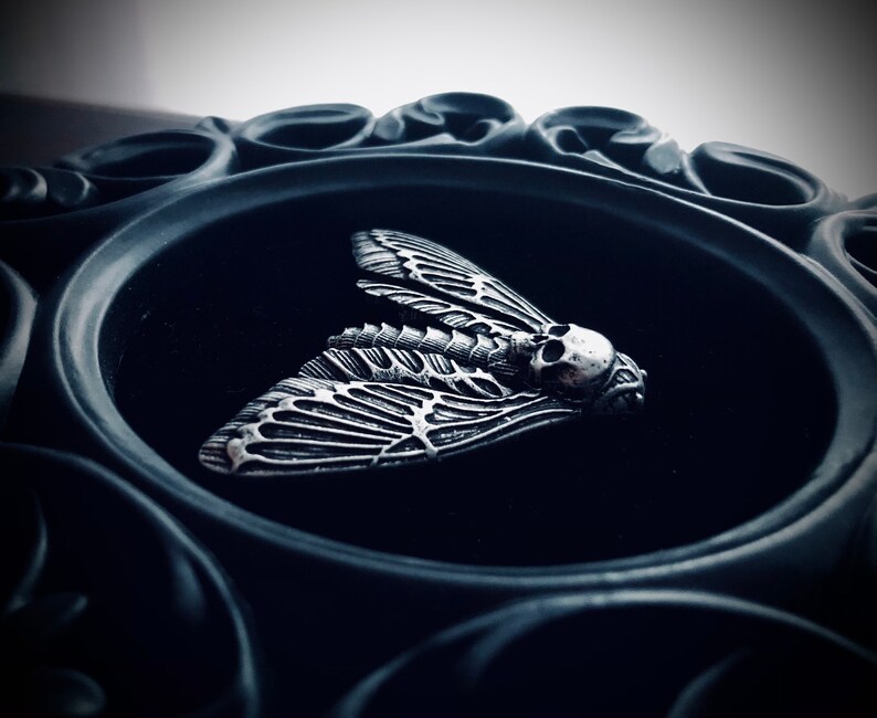 Death Head Moth With Ornate Frame Macabre Faux Taxidermy - Etsy