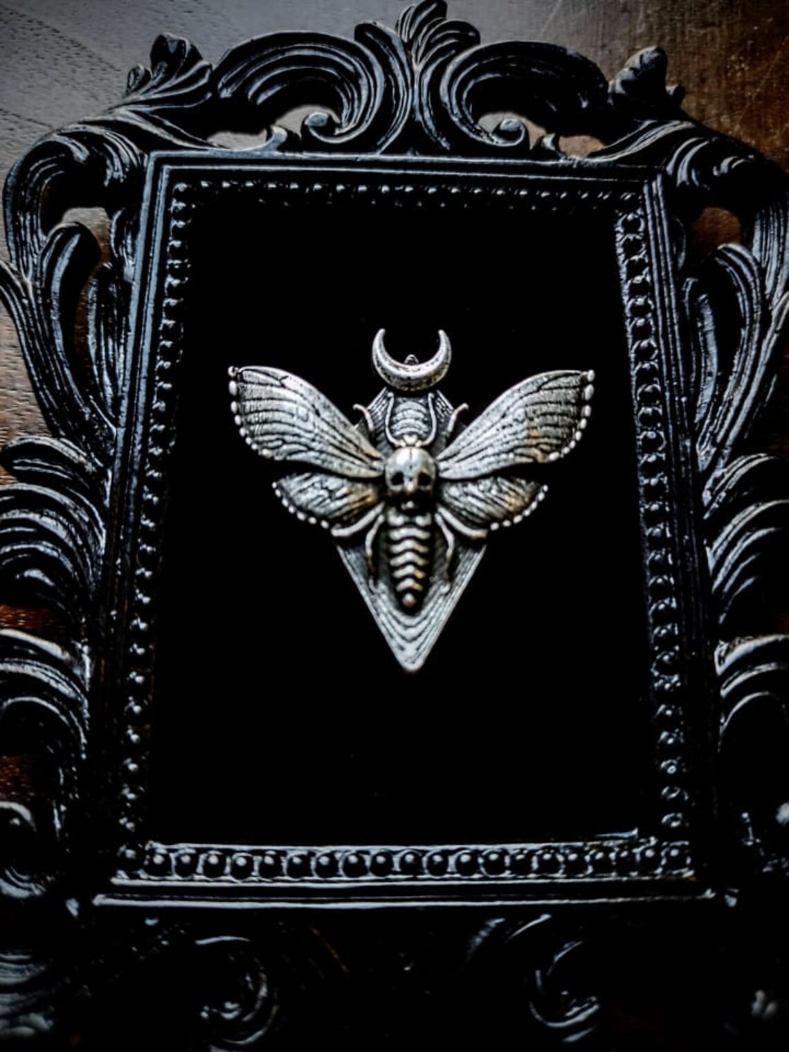 Death Head Moth in Baroque Frame Macabre Faux Taxidermy | Etsy