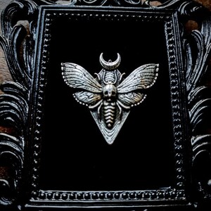 Death Head Moth in Baroque Frame Macabre Faux Taxidermy | Etsy