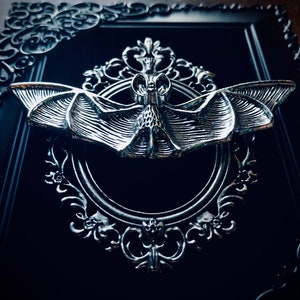 Bat With Ornate Frame | Macabre | Faux Taxidermy | Steam Punk | Goth ...