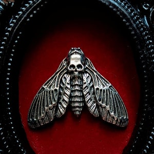 Death Head Moth in Baroque Frame, Halloween, Macabre, Taxidermy ...