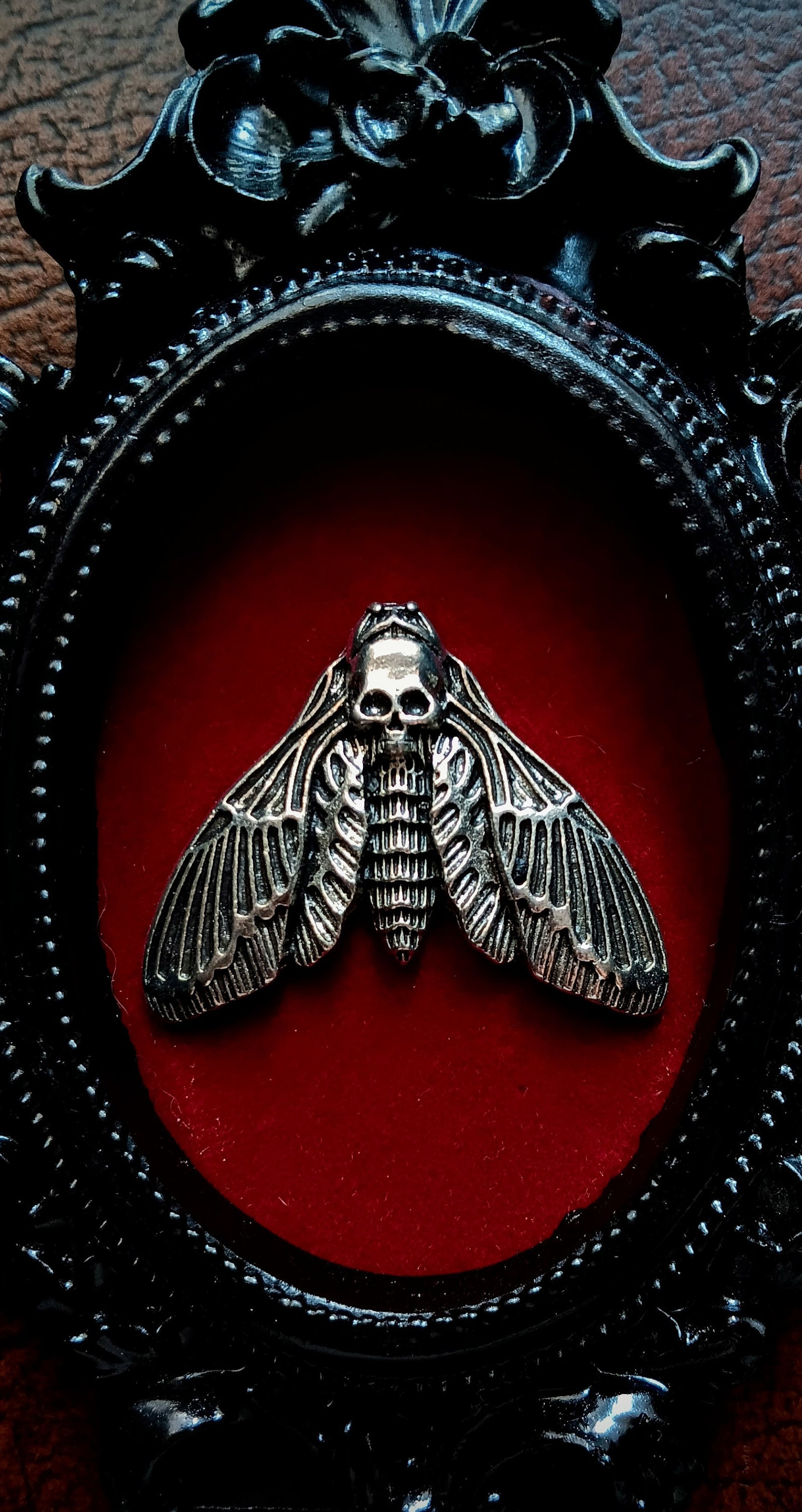 Death Head Moth in Baroque Frame, Halloween, Macabre, Taxidermy ...