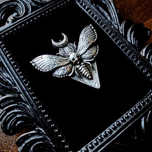 Death Head Moth in Baroque Frame Macabre Faux Taxidermy | Etsy