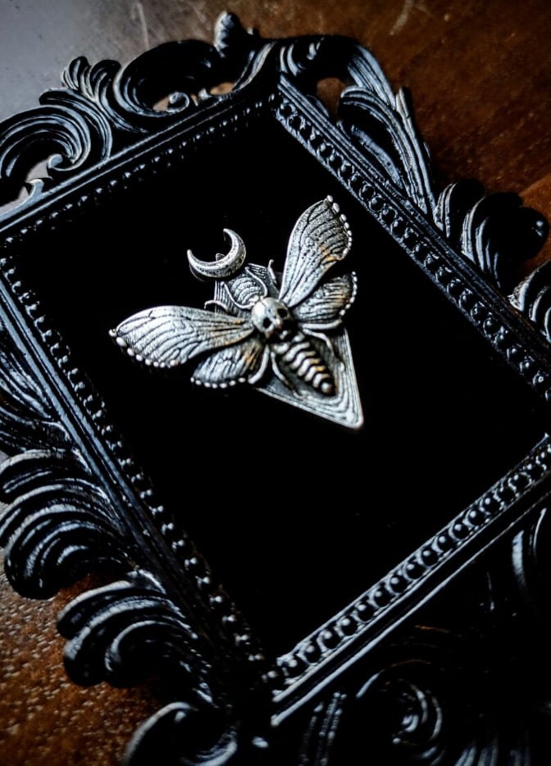 Death Head Moth in Baroque Frame Macabre Faux Taxidermy | Etsy