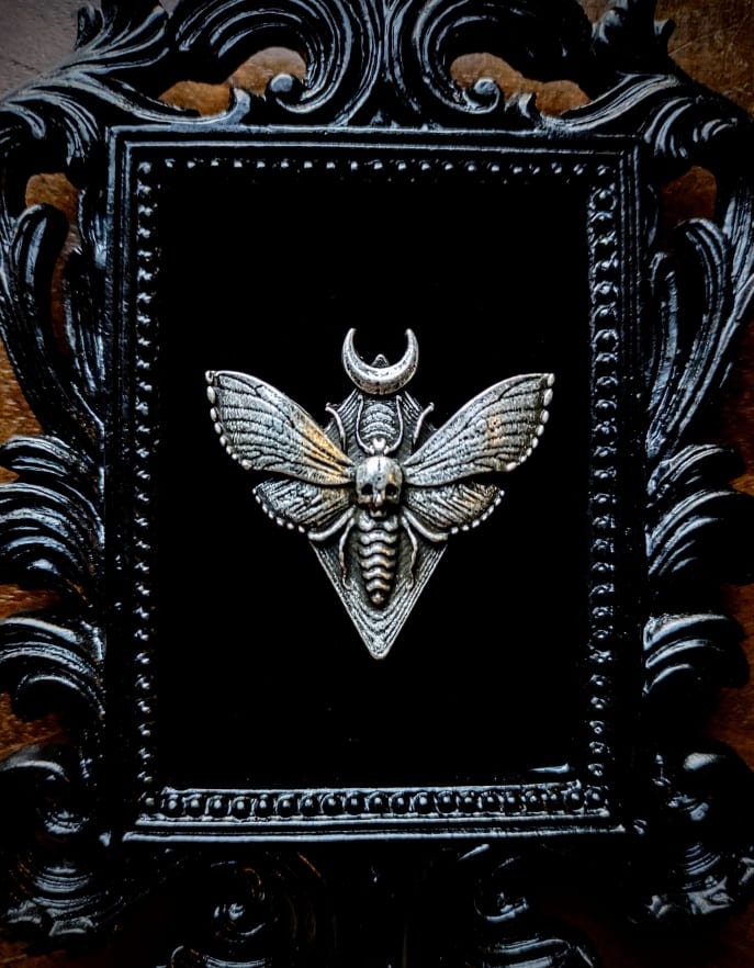 Death Head Moth in Baroque Frame Macabre Faux Taxidermy | Etsy