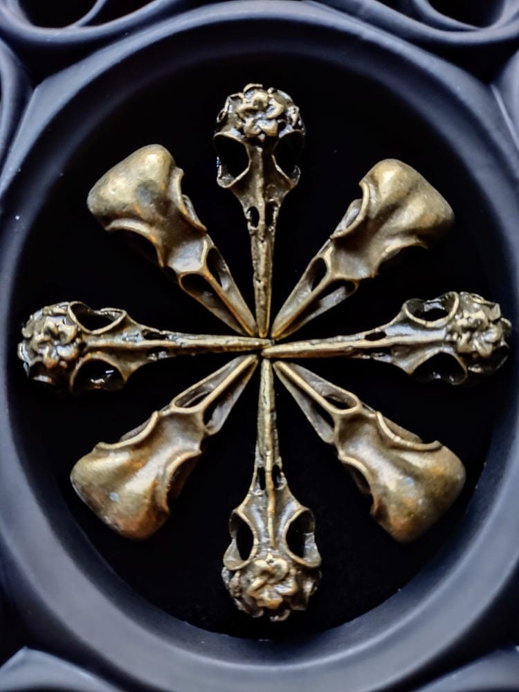 Raven Skull Antique Brass Baroque Frame Faux Taxidermy | Etsy