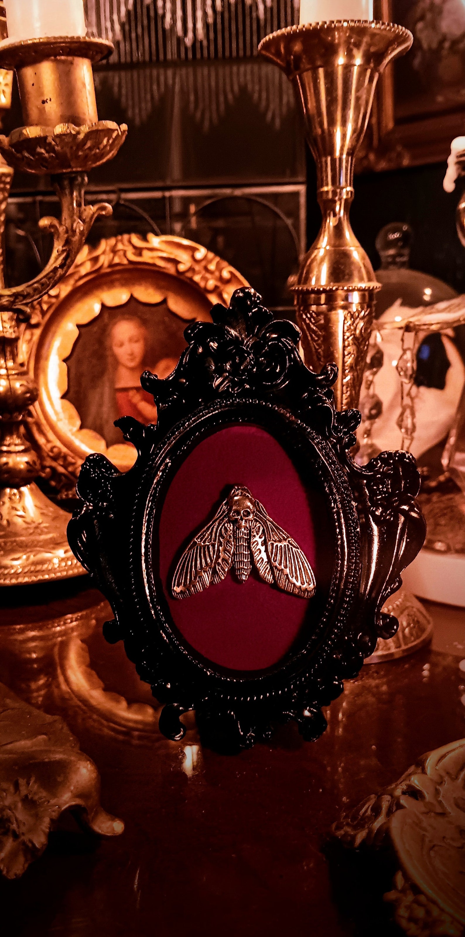 Death Head Moth in Baroque Frame, Halloween, Macabre, Taxidermy ...