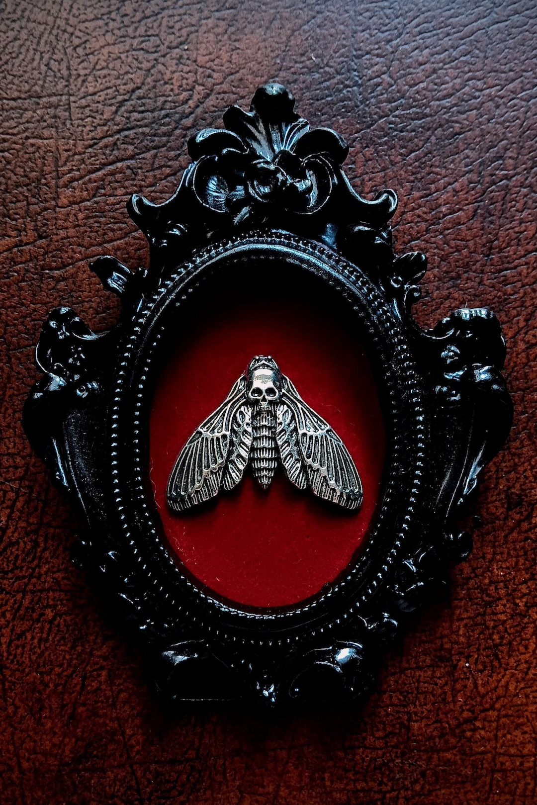 Death Head Moth in Baroque Frame, Halloween, Macabre, Taxidermy ...