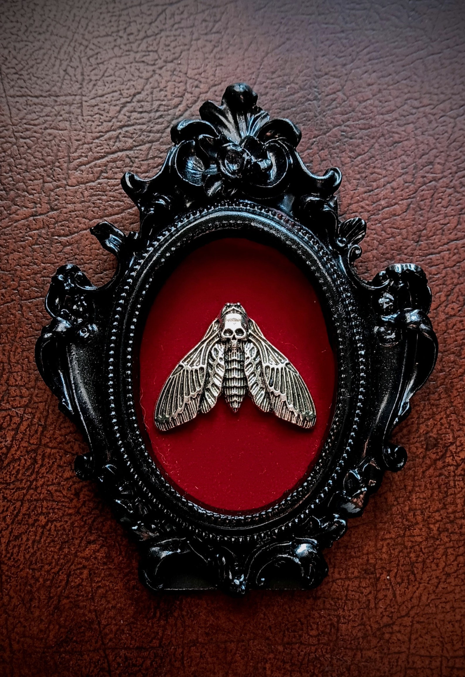 Death Head Moth in Baroque Frame, Halloween, Macabre, Taxidermy ...