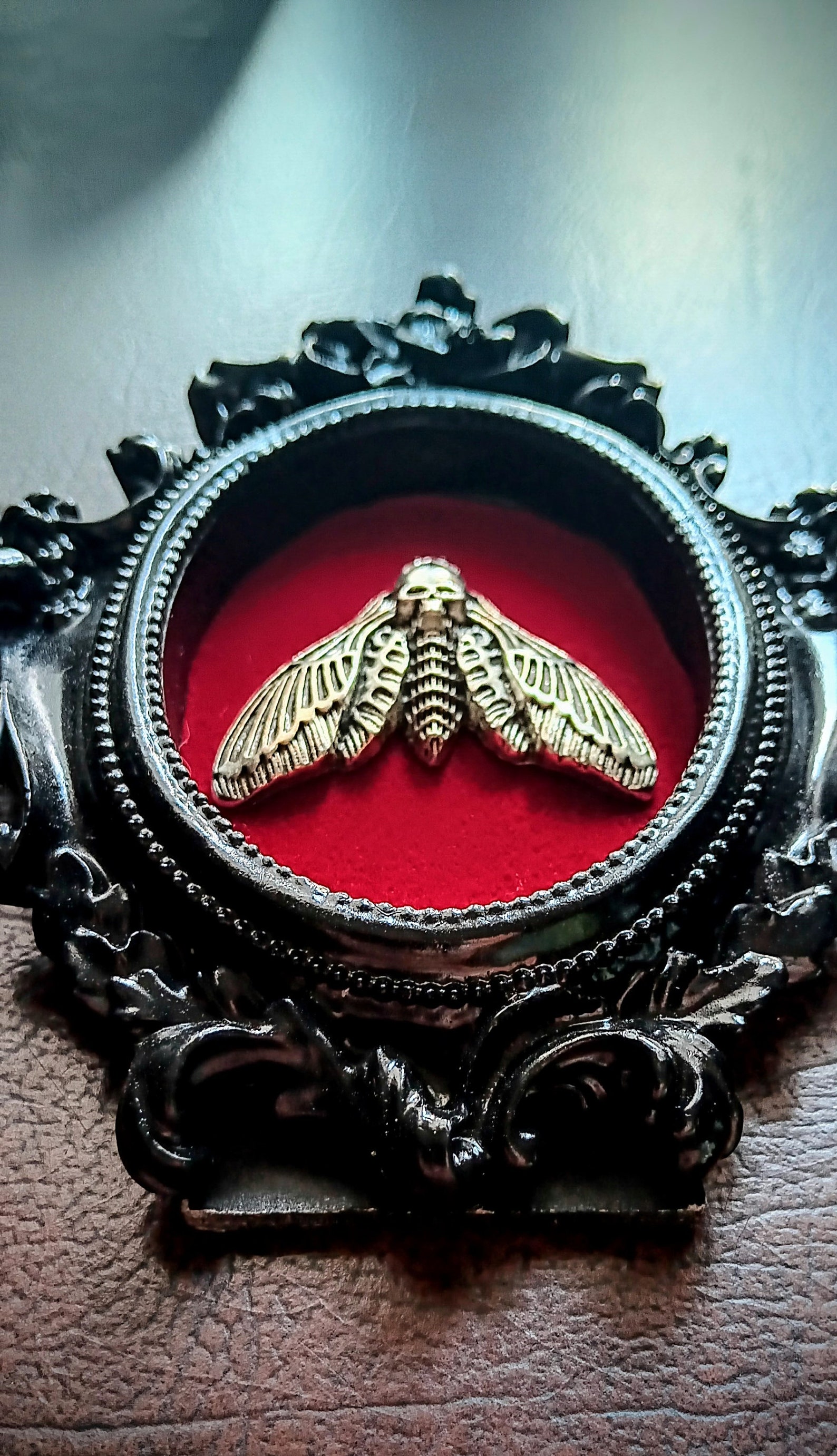 Death Head Moth in Baroque Frame, Halloween, Macabre, Taxidermy ...