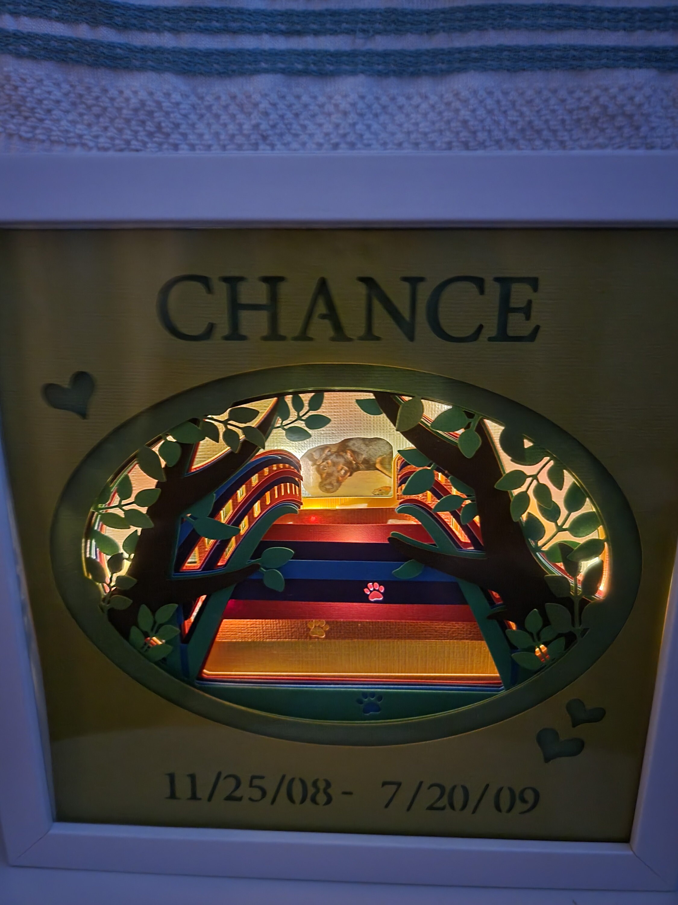 Rainbow Bridge Pet Memorial Shadow Box - Etsy