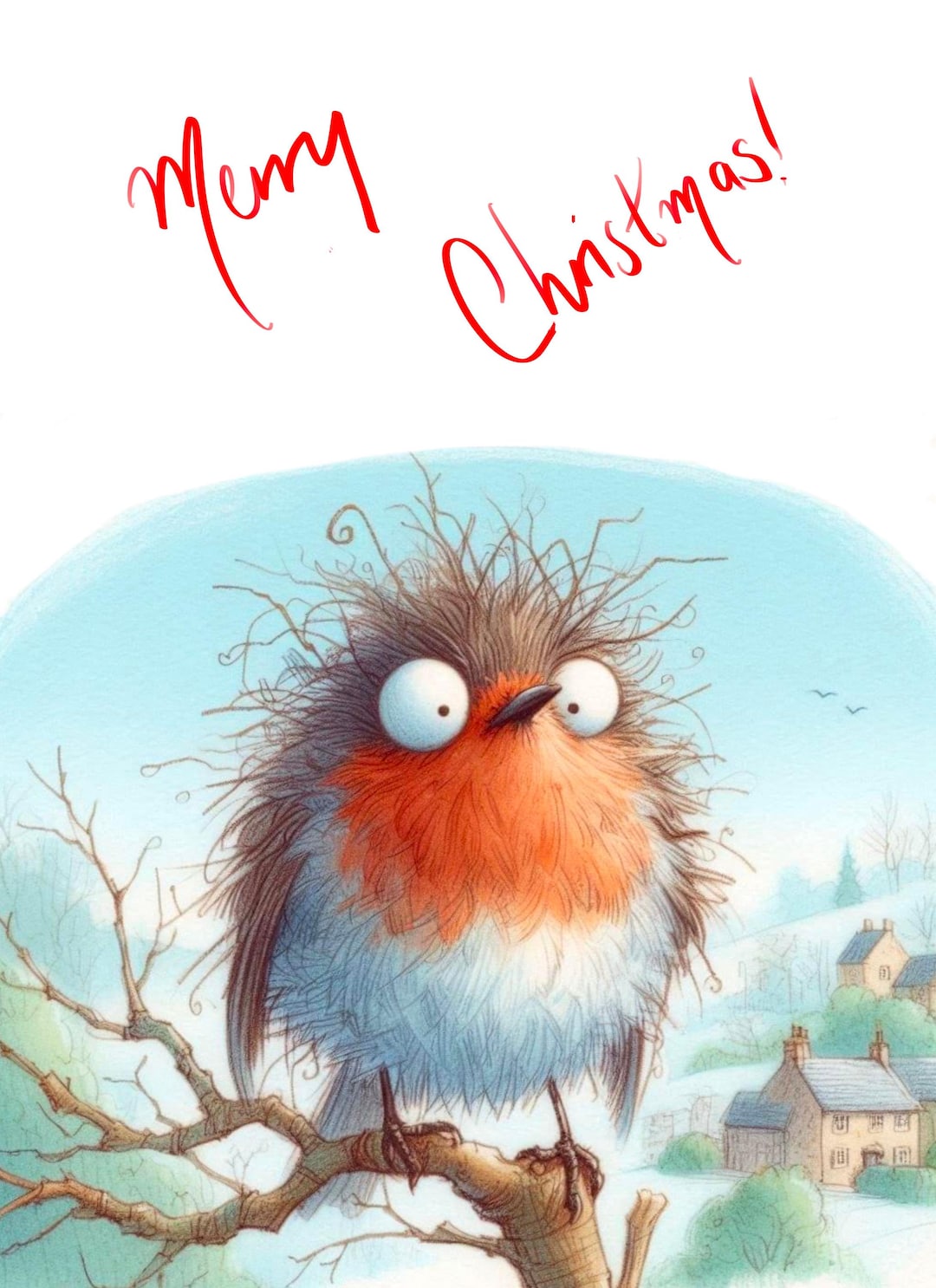 Robin Christmas Cards, Robin, Comical Robin, Birds, Unique Robin, Made ...