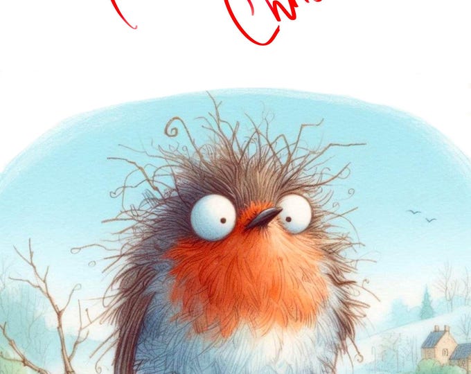 Robin Christmas Cards, Robin, Comical Robin, Birds, Unique Robin, Made ...