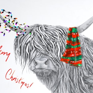 Christmas Cards, Highland Cows, Scottish, Scotland. UK, Multi Packs ...