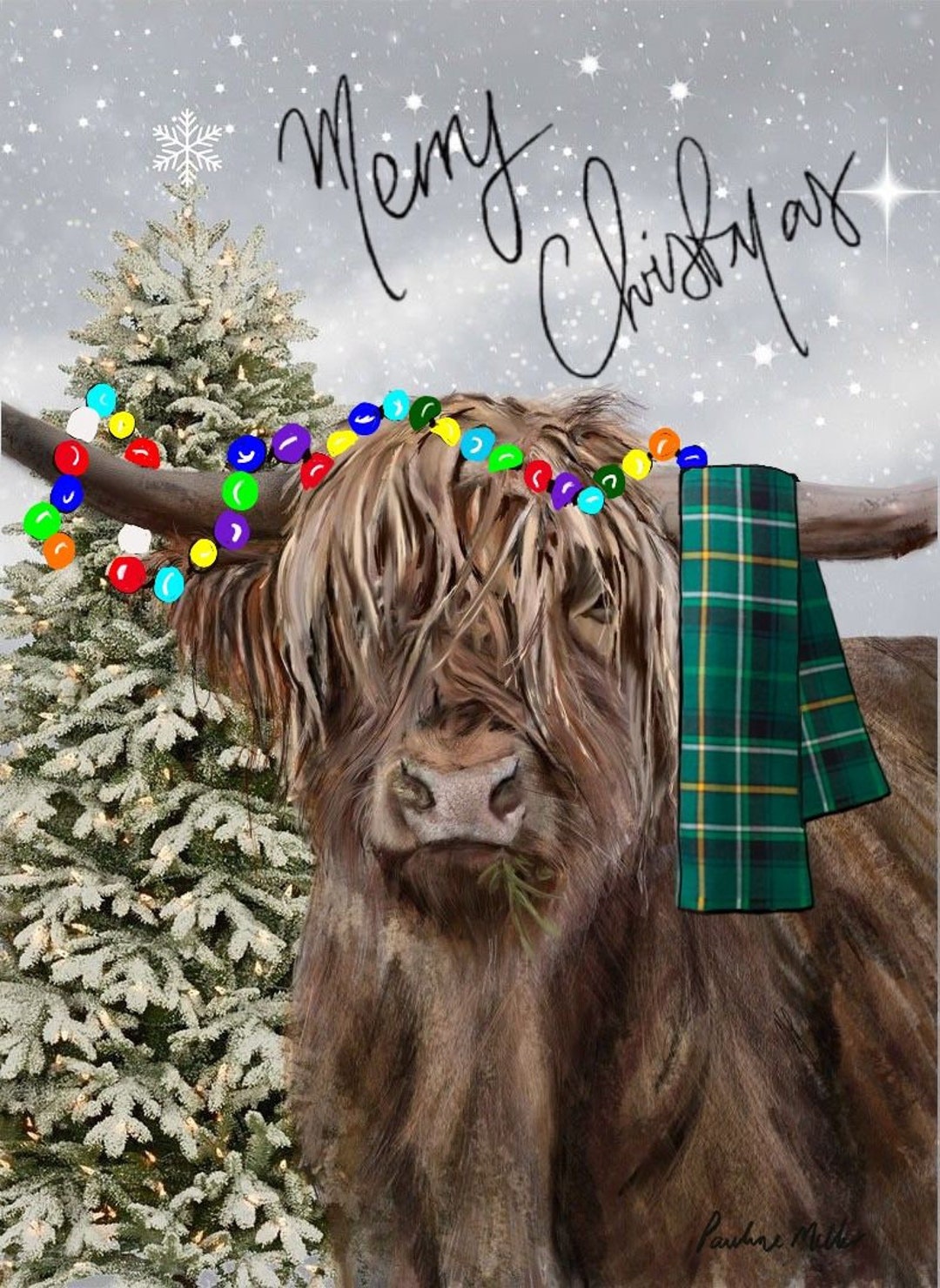 Highland Cow, Christmas Cards, Variety, Scottish, Scotland, Funny ...