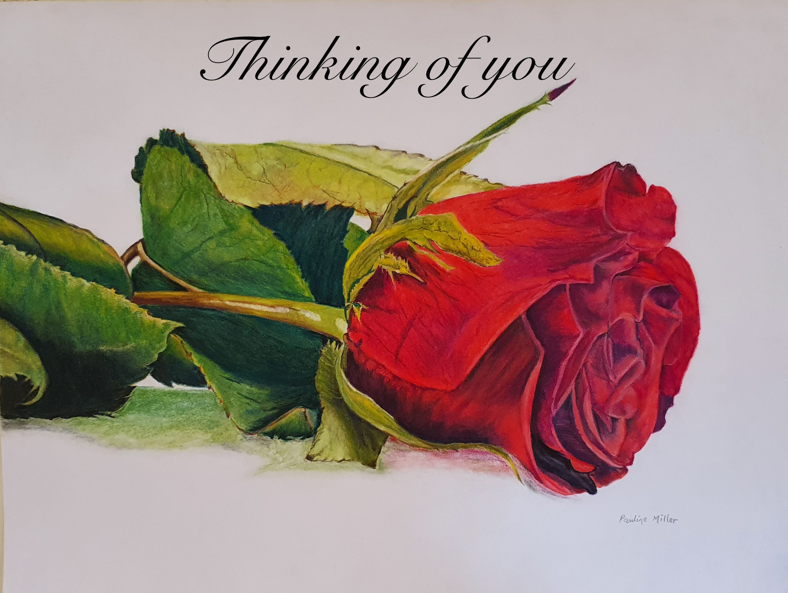 Thinking Of You Rose