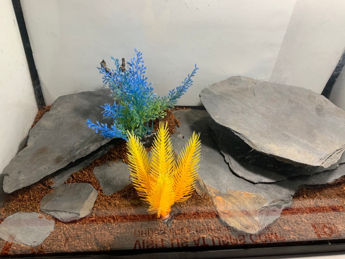 5lbs. Medium box. Natural Slate Rocks Fish Tank Aquarium Decor | Etsy