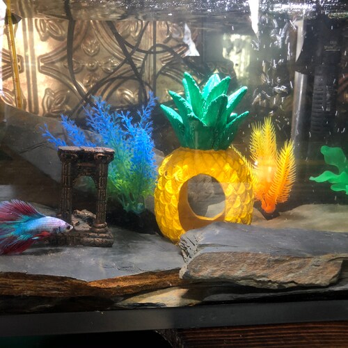 Natural SLATE Stone Rock Cave for Pleco Aquarium Fish Tank or - Etsy