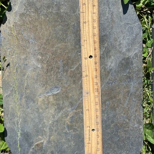 4 Medium Slate Steppingstones - Etsy