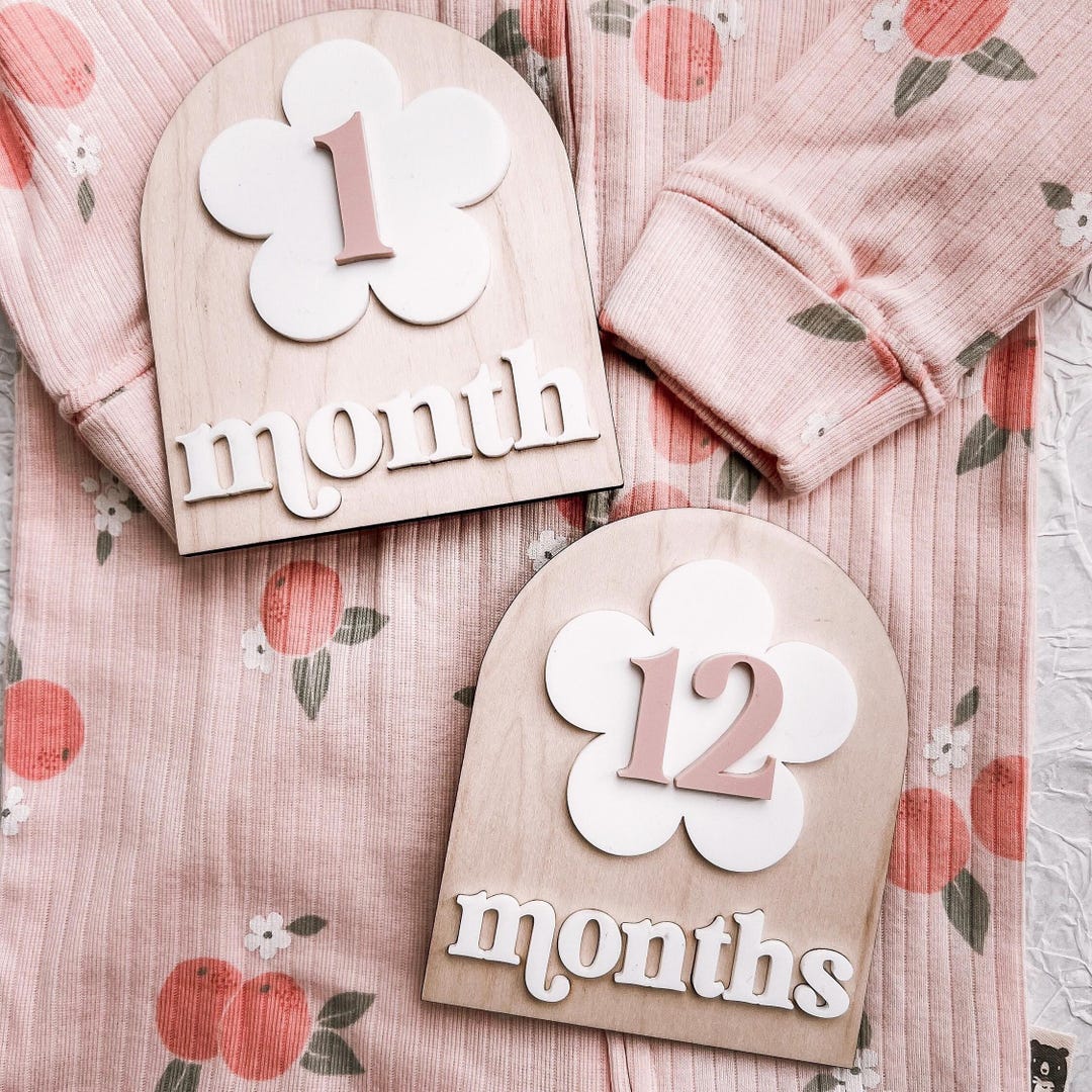 Wooden Baby Milestone Discs: Interchangeable Numbers, Photo Prop - Etsy