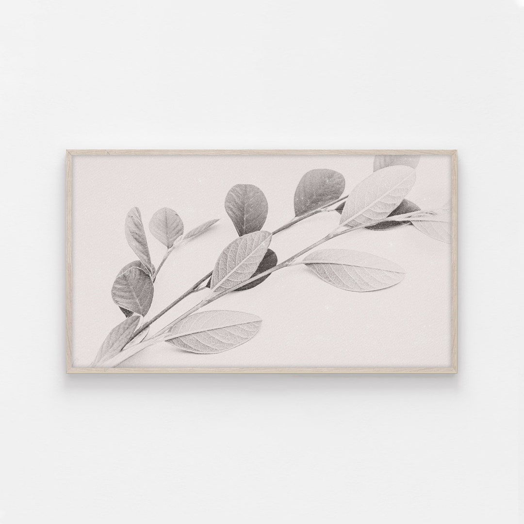 Samsung Frame TV, Light Pink Plant, the Frame, Botanical Print, Art for ...