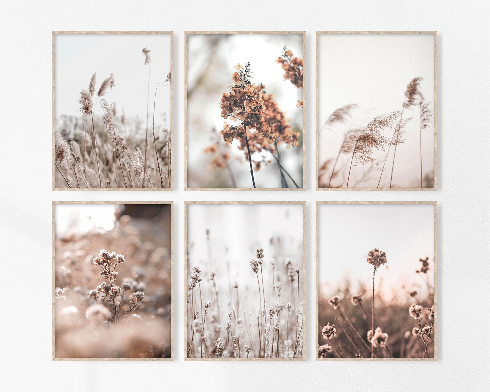 Farmhouse Print Set of 6 Prints Botanical Posters Pampas - Etsy
