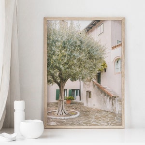 Olive Tree Print, Italian Wall Art, Mediterranean Decor, Italian ...