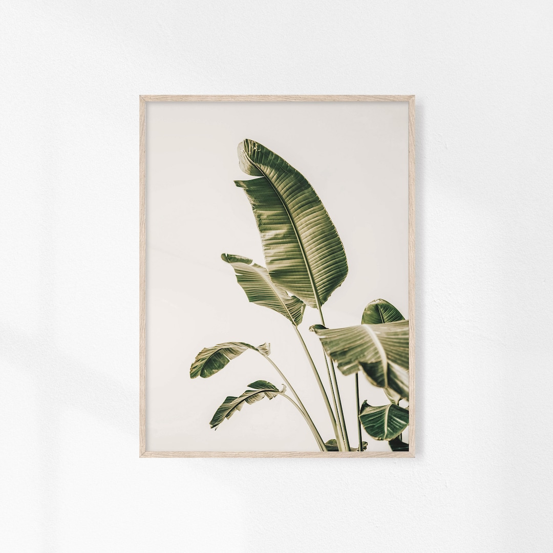 Strelitzia Print, Botanical Printable, Strelitzia Botanical Poster ...