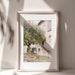 Olive Tree Print, Italian Wall Art, Mediterranean Decor, Italian ...