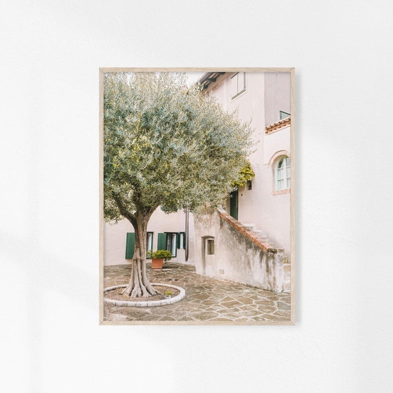 Olive Tree Print Italian Wall Art Mediterranean Decor | Etsy