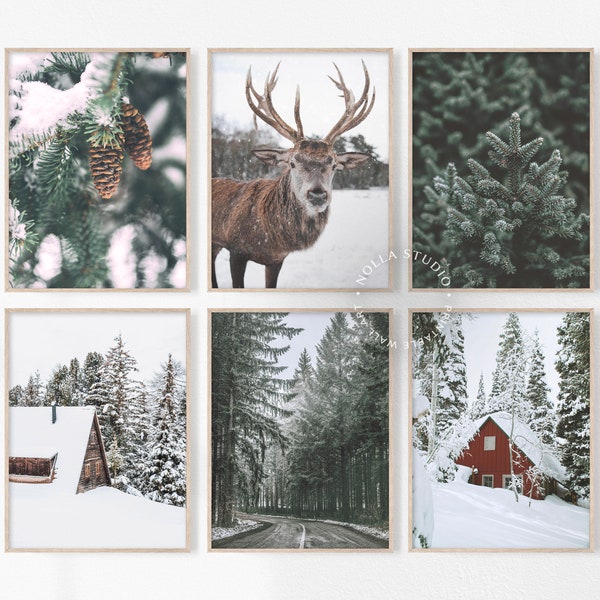 Winter Set 6 Poster - Etsy