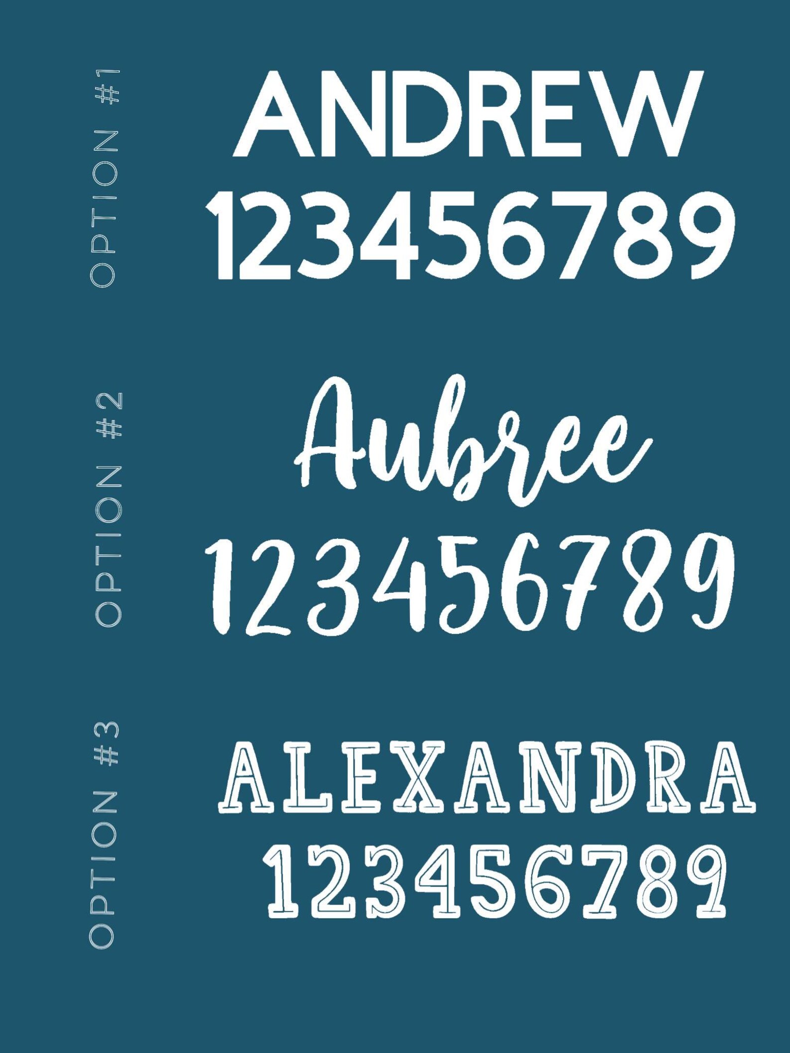 Add-on Name & Number Backside Add on Put Your Name and - Etsy