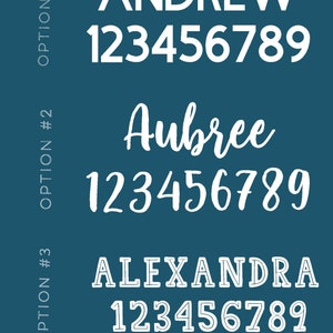 Add-on Name & Number - Backside Add on - Put Your Name and Number on ...