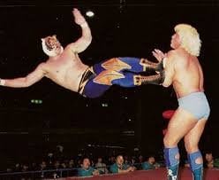 Misawa Tiger Mask 84 to 90 Ajpw - Etsy