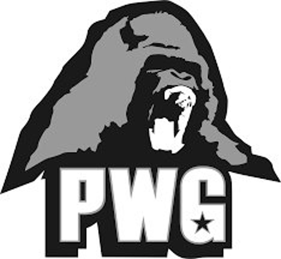 Top Matches of Pwg 170 Matches on 34 Disks - Etsy